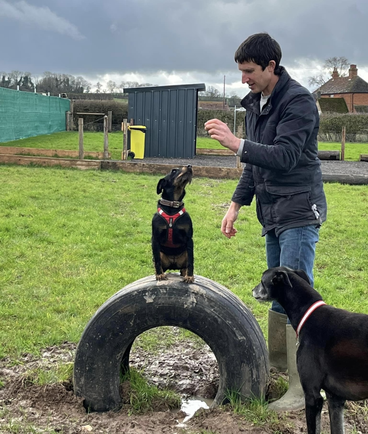 Gallery Harbury Fields Secure Dog Walking Fields